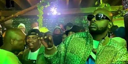 Top Dawg Media House - Official Website